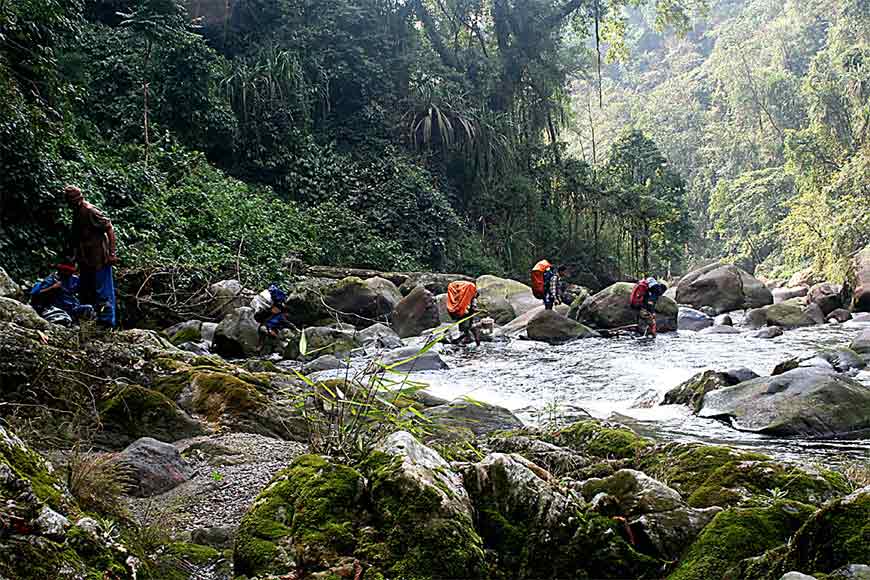 Neora Valley Trek | Get Bengal